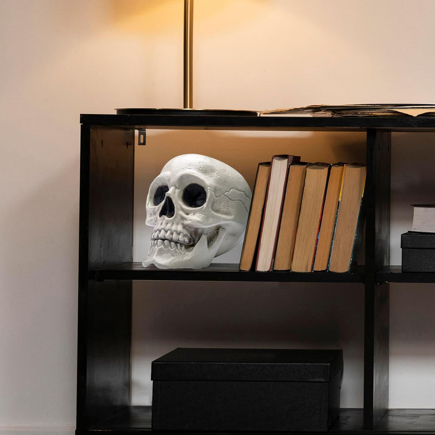 JOYIN Halloween Skeleton Decor, Life Size Human Skull Model Indoor ...