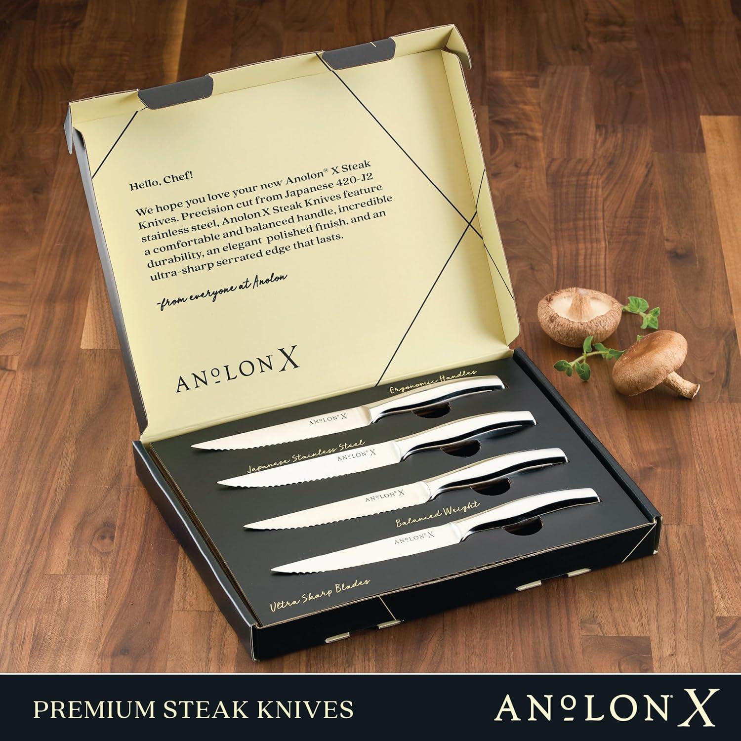 Anolon X 4 Piece Steak Knife Set, Japanese Stainless Steel, Four 5-Inch ...